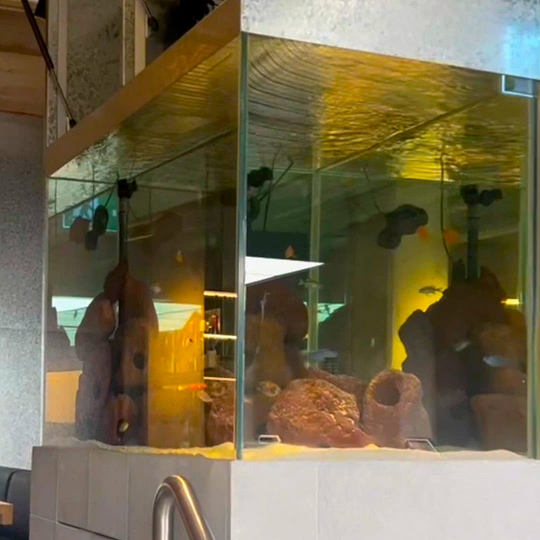 The Ultimate Commercial Aquarium Setup | Central Restaurant